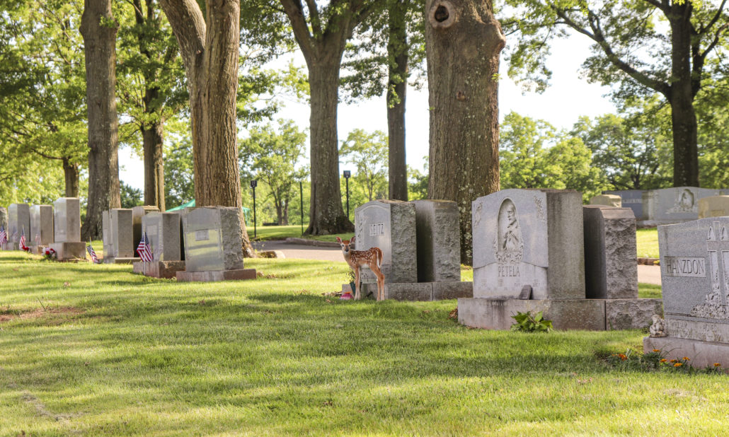 Saint Gertrude Cemetery Plots – Catholic Cemeteries